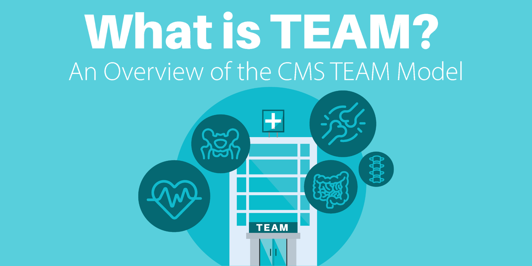 What is TEAM? An Overview of the CMS TEAM Model | Medisolv