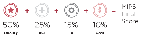 A Beginner's Guide to MIPS Year Two: 2018