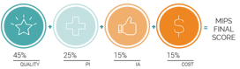 2019 MIPS Requirements
