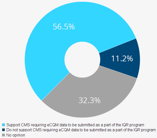Survey Results: The eCQM Process